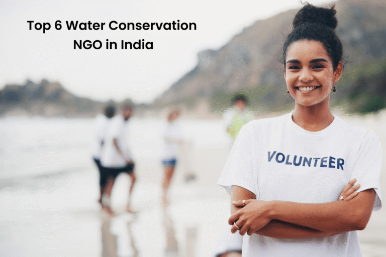 Top 5 NGOs Working for Employment Generation | Social for Action