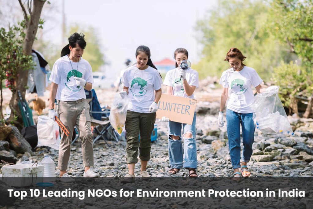 Top 7 Human Rights NGO in India Working for Justice & Equality | Social ...