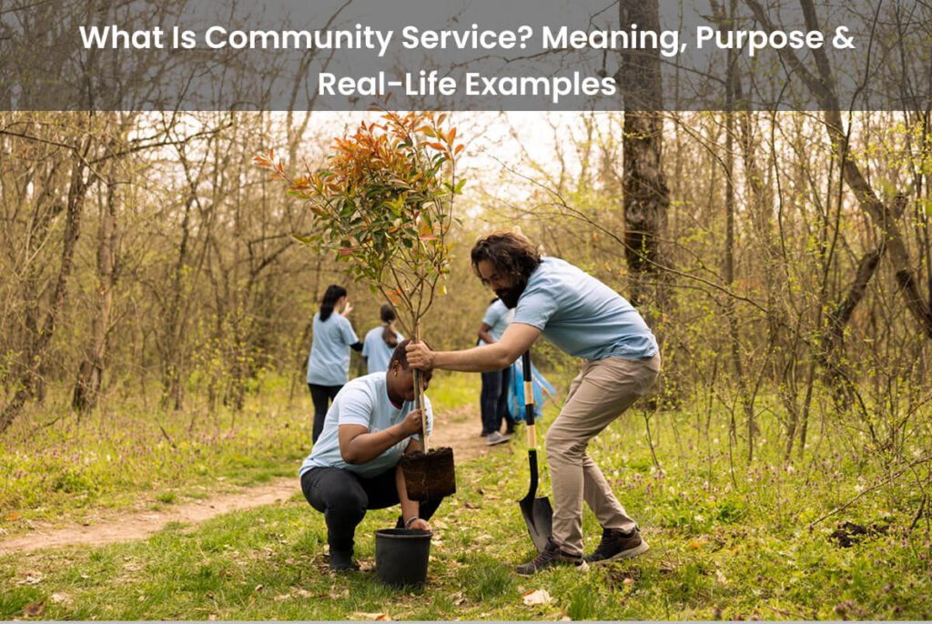 What Is Community Service? Meaning, Purpose & Real-Life Examples ...